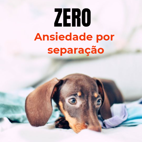 Zero Ansiedade por separação