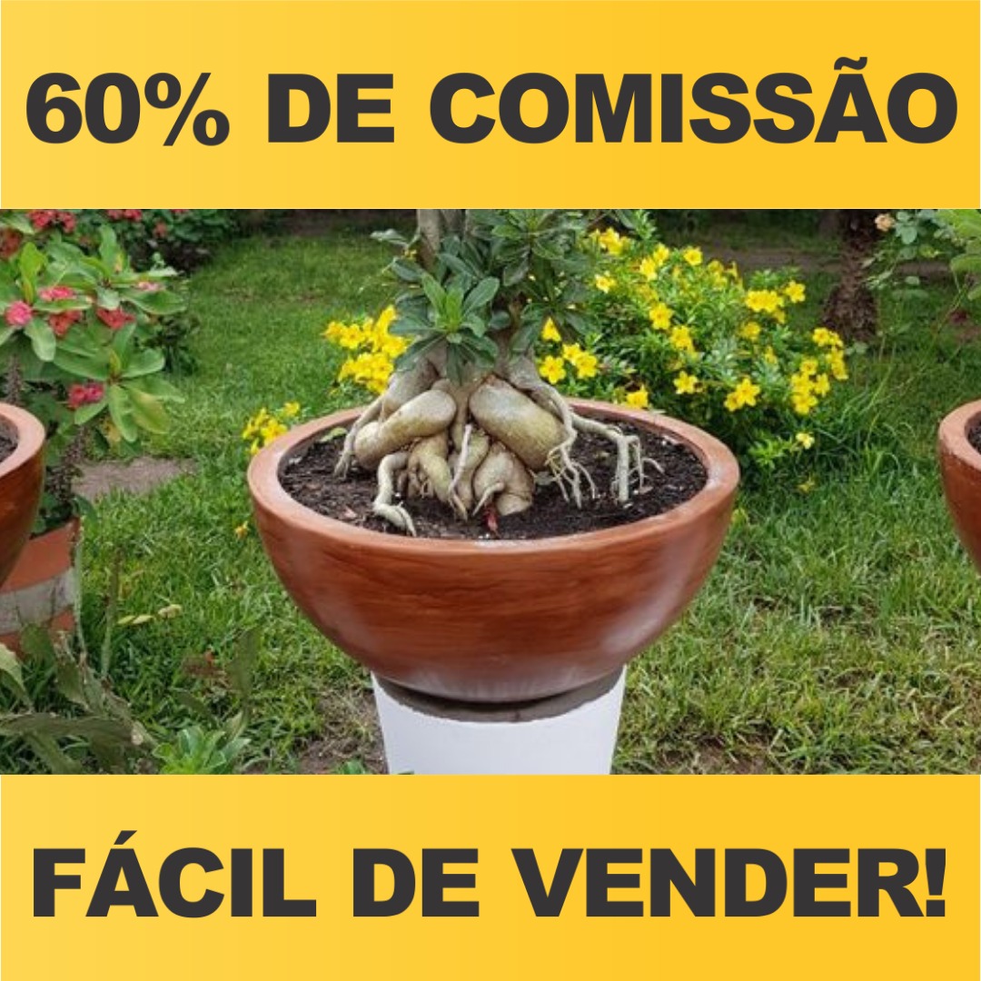 Método Como Fazer Bacias Para Rosas Do Deserto - Nilton Macedo Silv...
