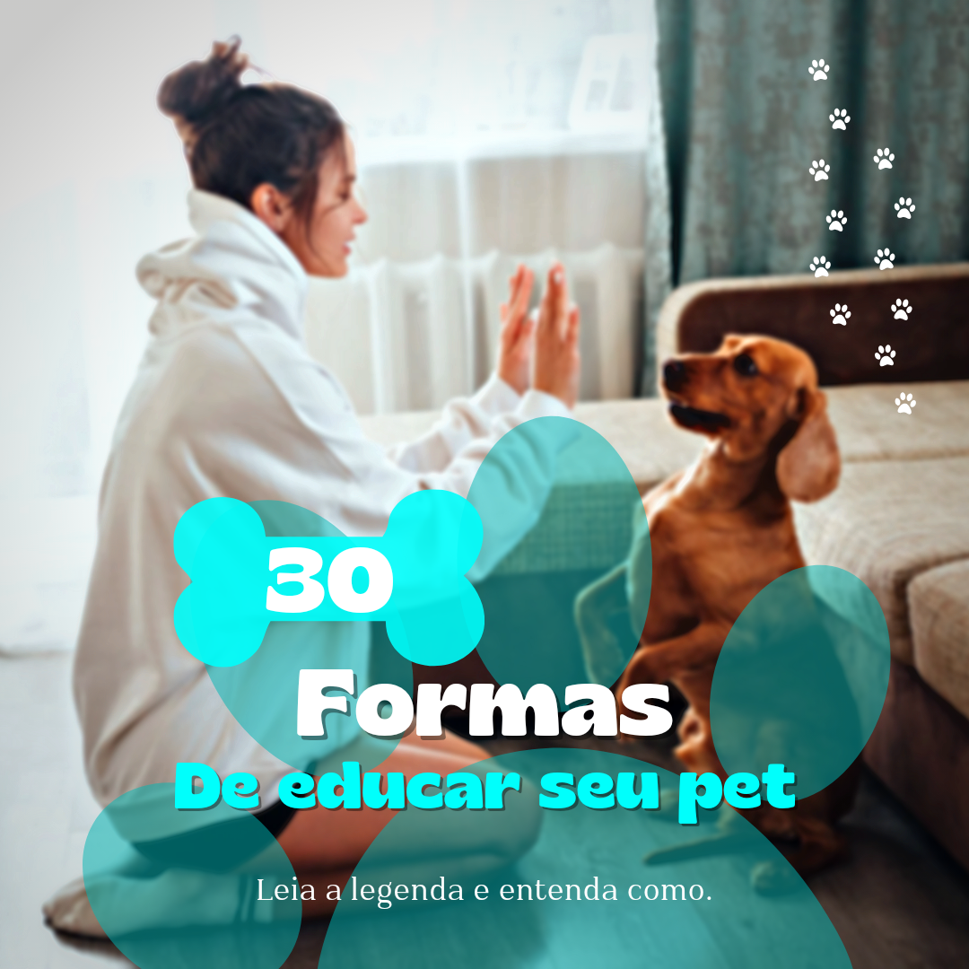 30 Formas De Como Educar Seu Pet