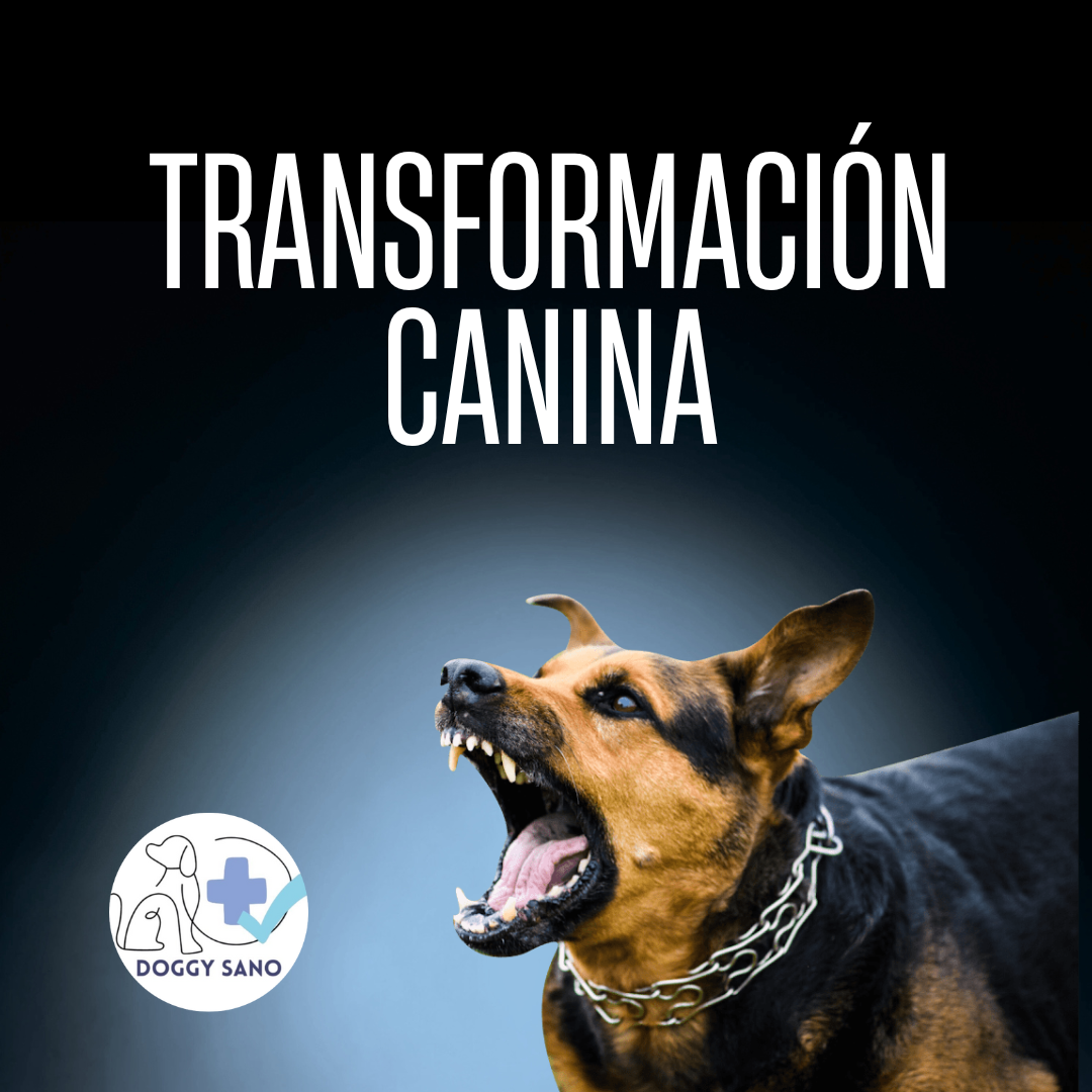 Guía Transformación Canina - Cesar Toro Marin | Hotmart