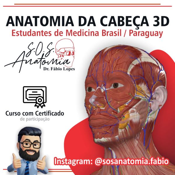 ANATOMIA CABEÇA - Fábio Ferreira Lopes | Hotmart