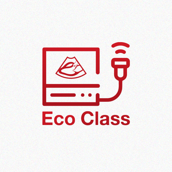 Eco Class - VR Capacitação Profissional LTDA | Hotmart