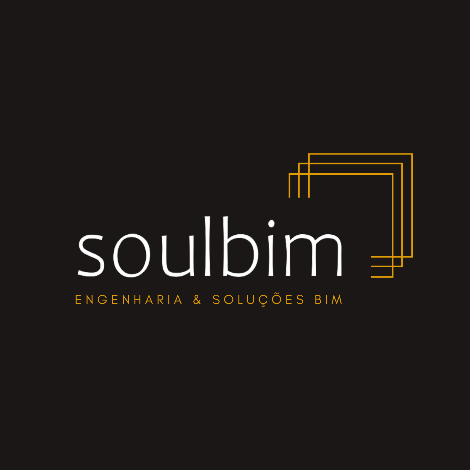 Treinamento Soulbim - Colares Linhares