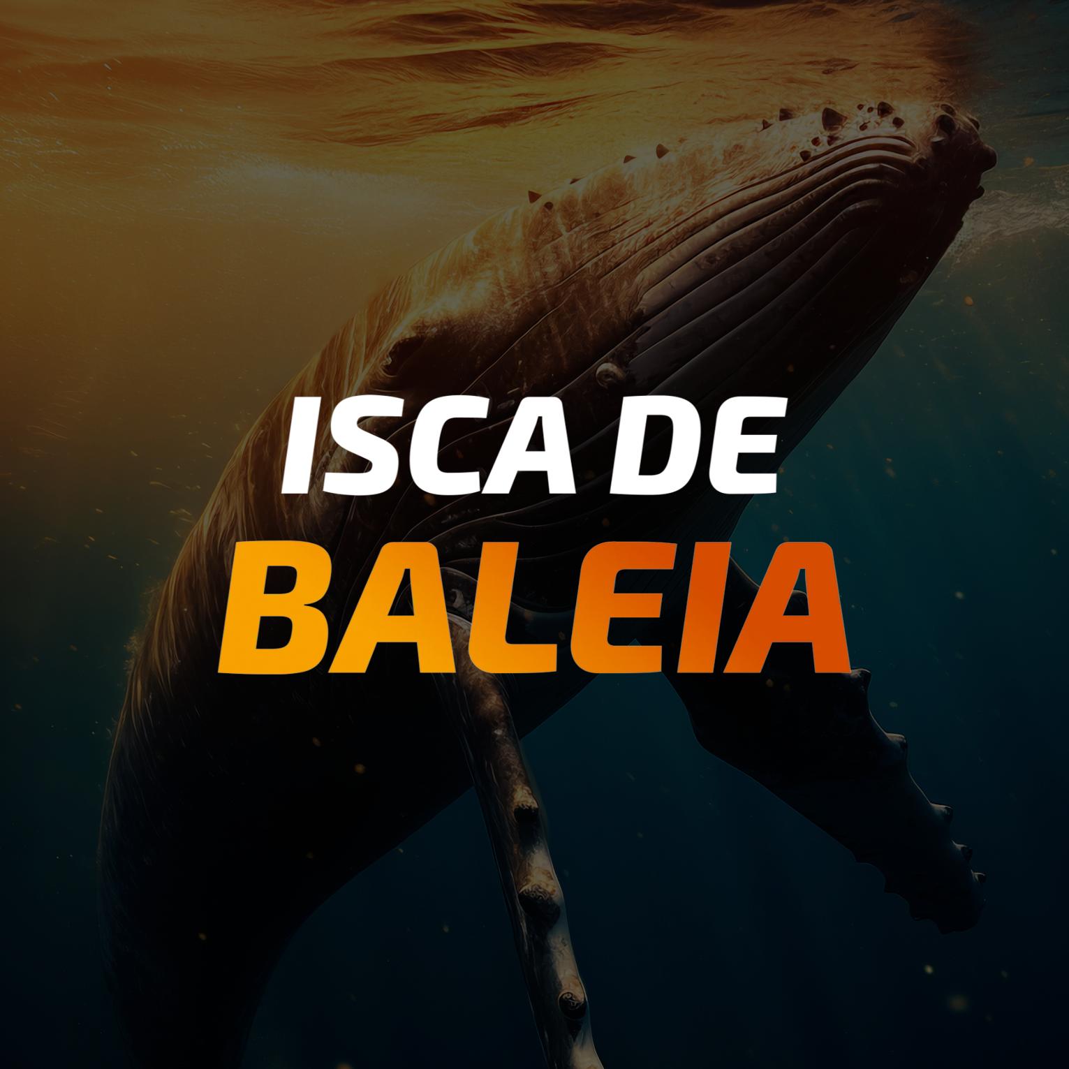 Funil Isca de Baleia - Digital Blandy | Hotmart
