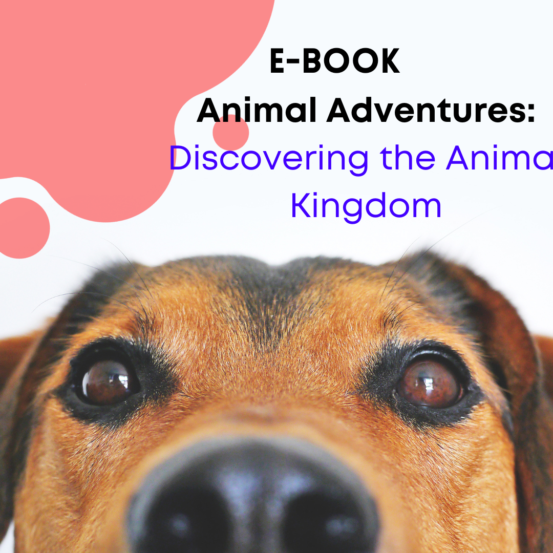Animal Adventures: Discovering the Animal Kingdom