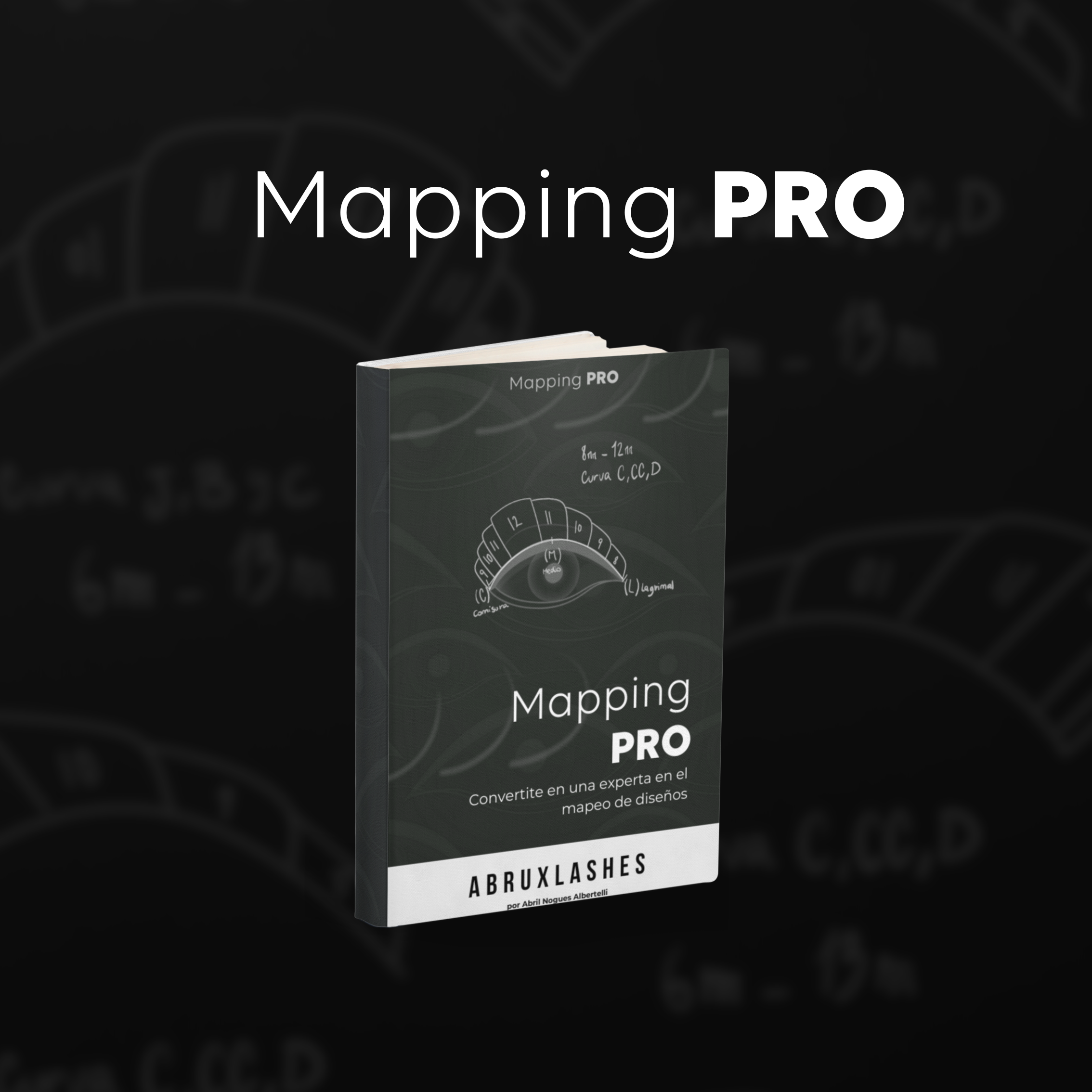 Ebook Mapping PRO