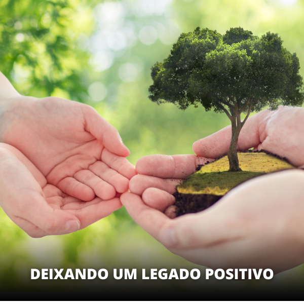 Deixando um legado positivo (Aula em vídeo) - Sementes das Estrelas...