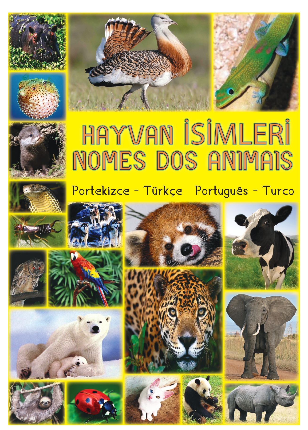 Tradução: Português -Turco | Animais