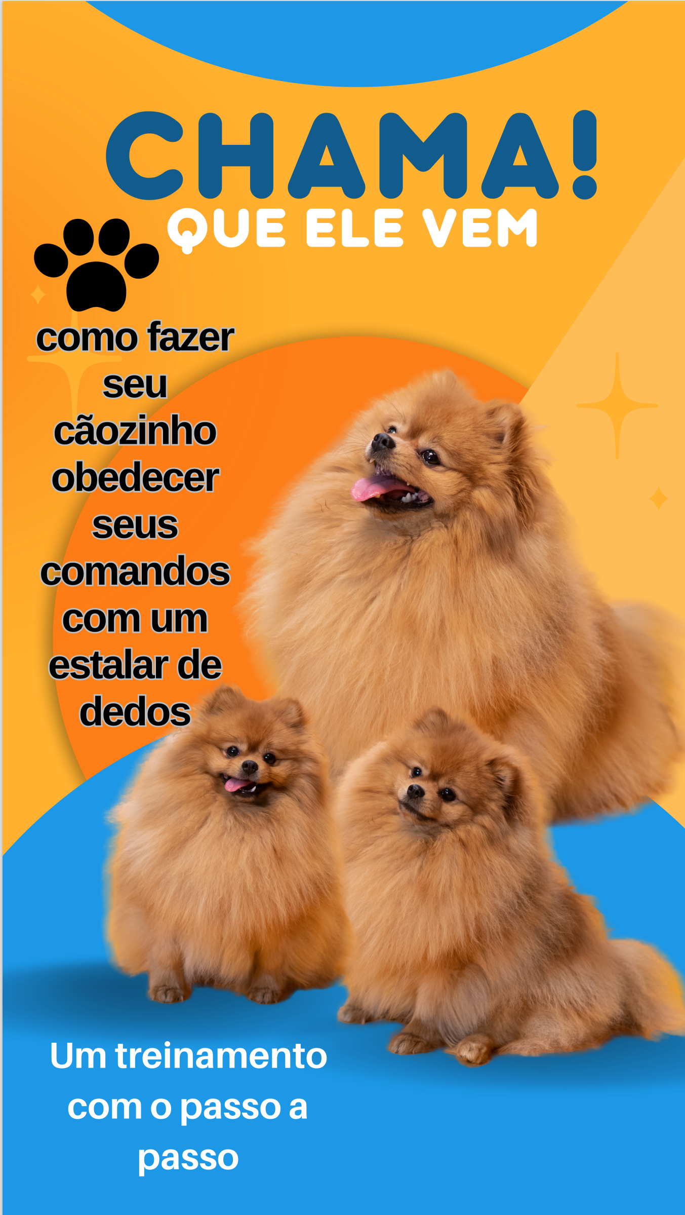 Mundo Pets - Adestramento de Cães