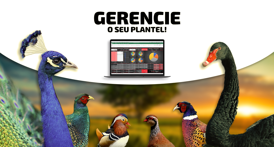 SG Aves (Software para Gestão de Aves e Criadouro ) - SG Aves | Ho...