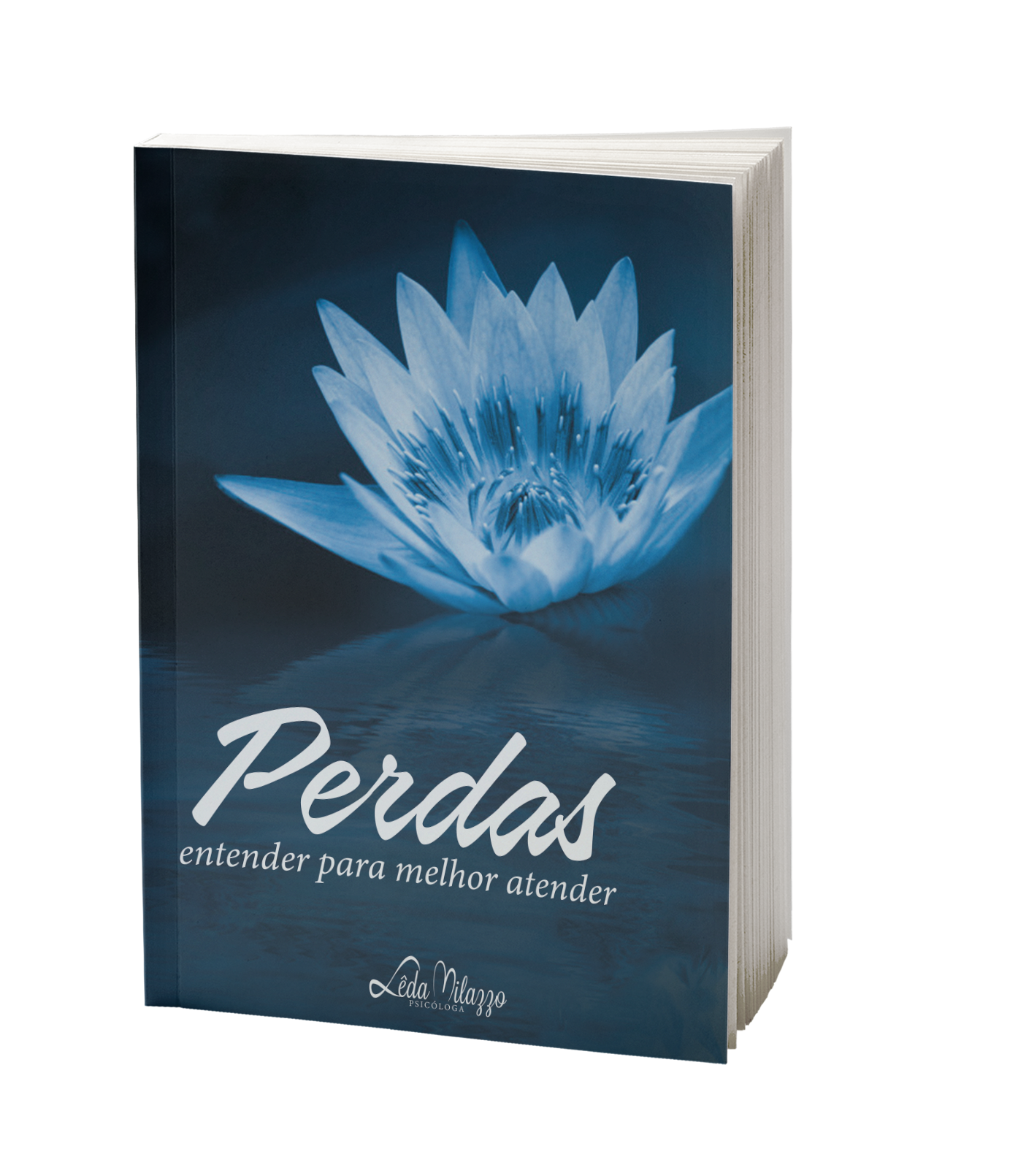 Perdas: entender para melhor atender