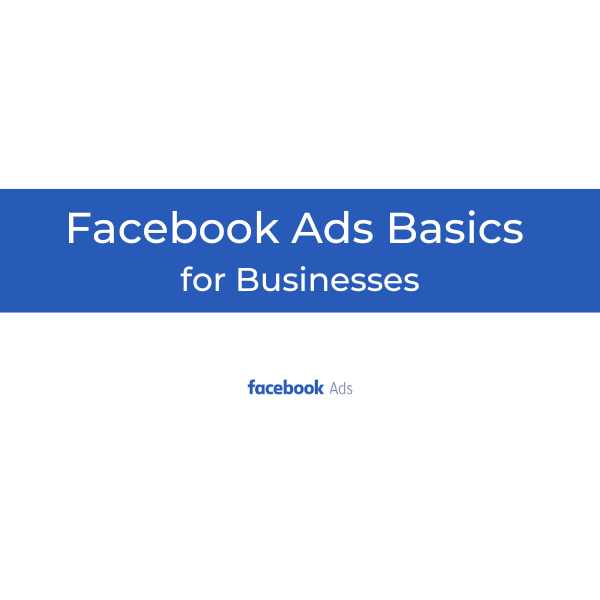 Facebook Ads Basics for Businesses (Step by Step) - Camila Curti Zm...
