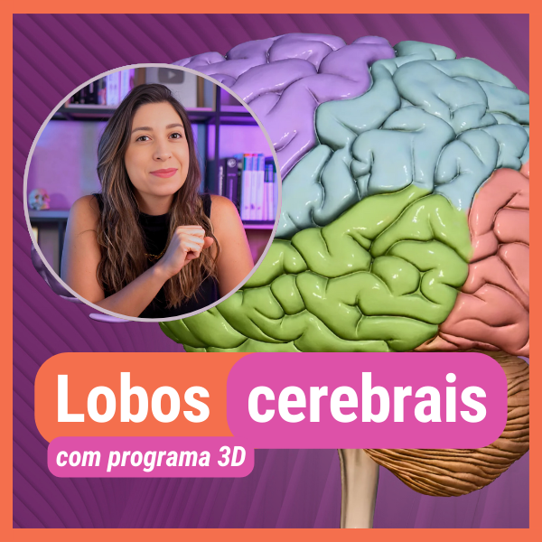 Apostila LOBOS CEREBRAIS. Material de Apoio aulas Youtube. - Anatom...
