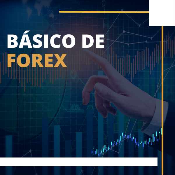 Básico de Forex - TRADING FLOOR | Hotmart