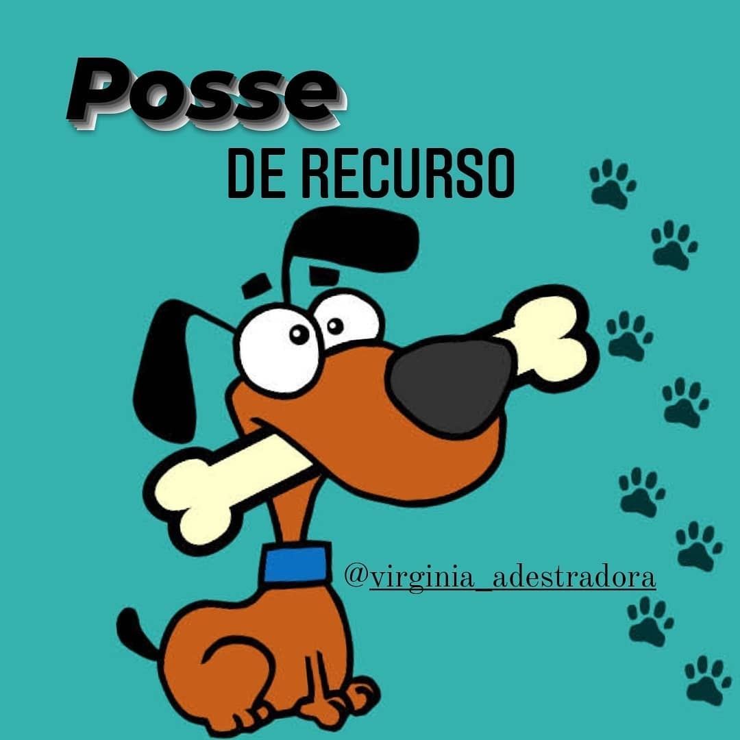 Posse de Recurso - Virgínia Leal | Hotmart