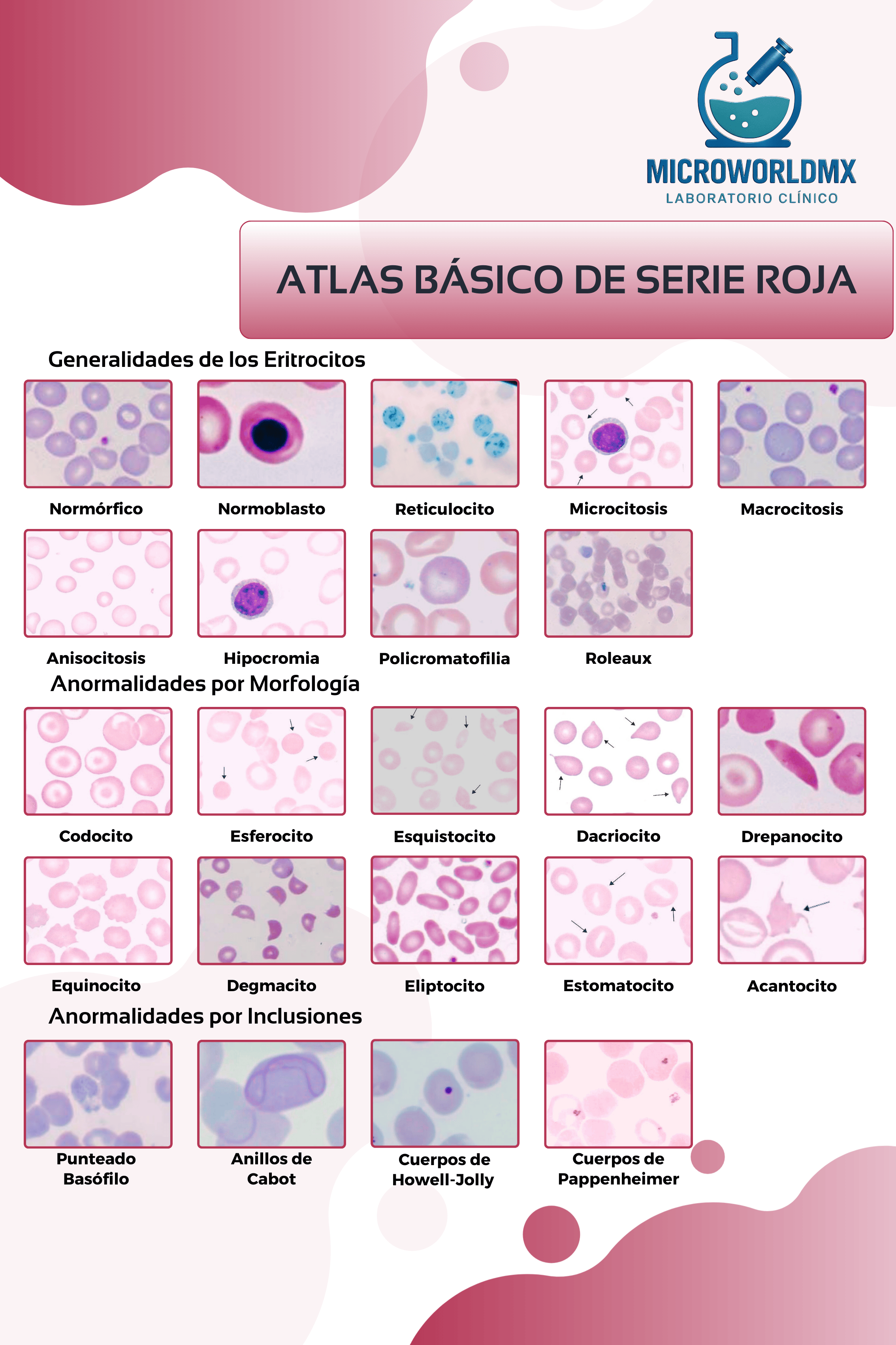 Atlas Básico de Serie Roja - Carlos Alberto Baranda Rodríguez | Hot...