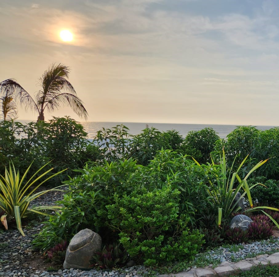Guía Esencial de diseño para jardines de playa- Perú - Diana Arce C...