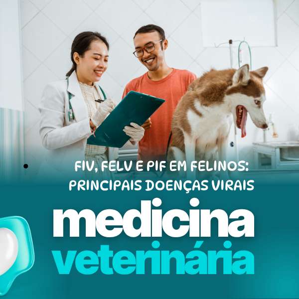 FIV, FeLV e PIF em Felinos: Principais Doenças Virais - Vih Resumos...