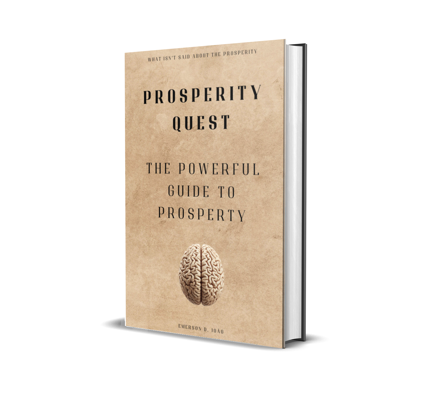 Prosperity Quest - "The Powerful Guide to Prosperity." - EDJ Consul...