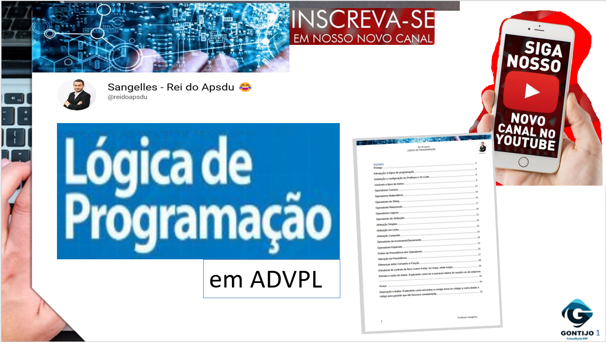 Lógica de Programação em Advpl - Sangelles Sousa Moraes | Hotmart