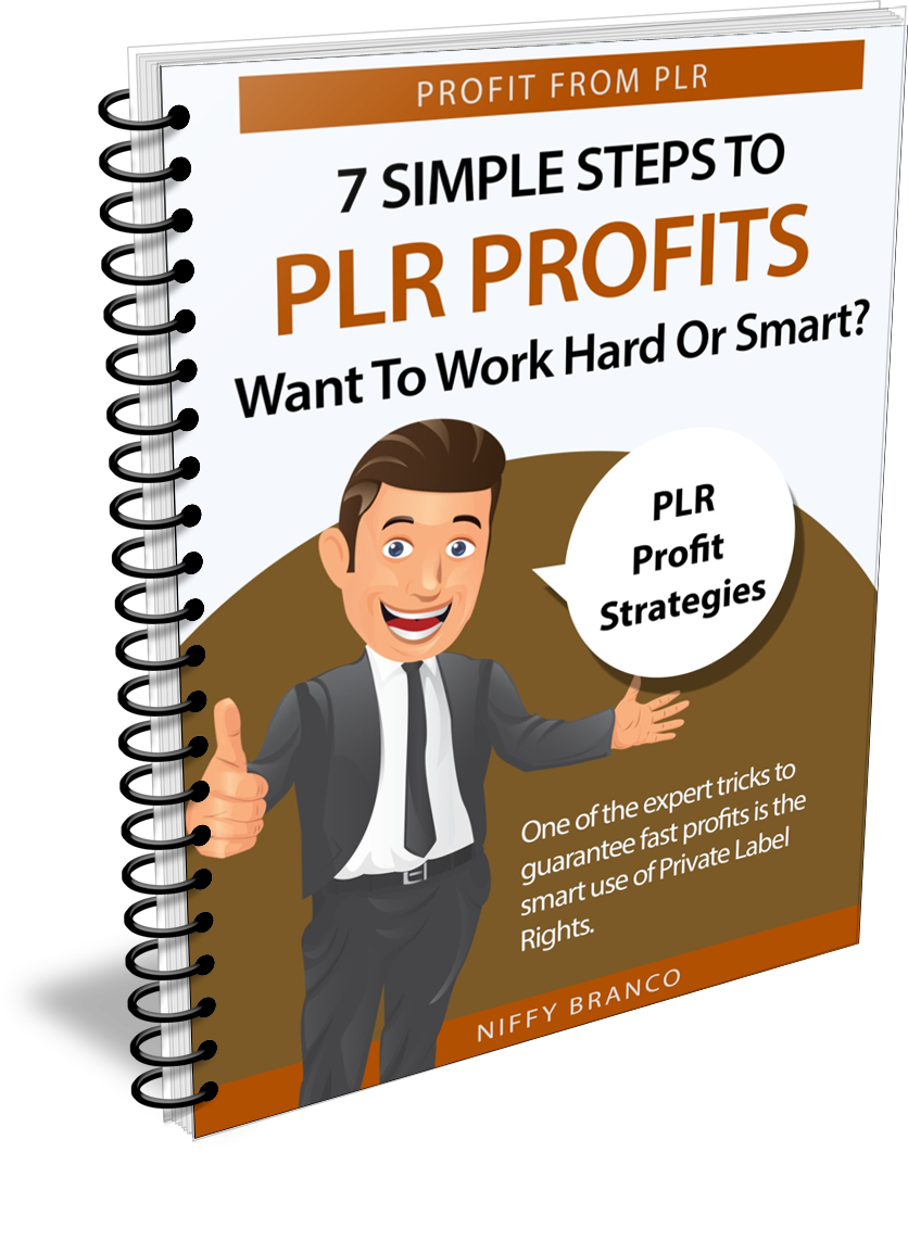 7 simple steps to PLR PROFIT