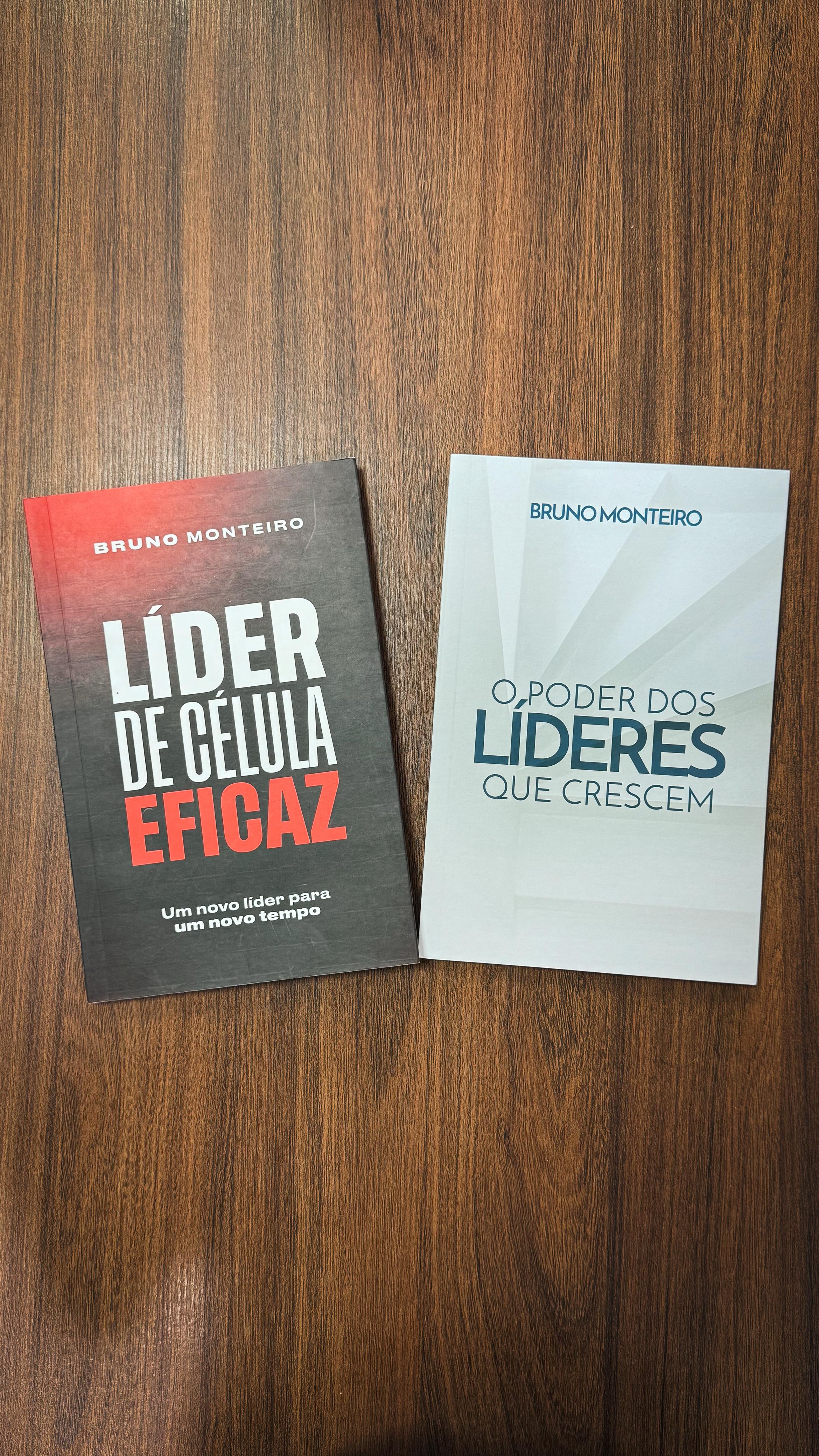 Kit Líder Empoderado - LIDERANÇA DE SUCESSO | Hotmart