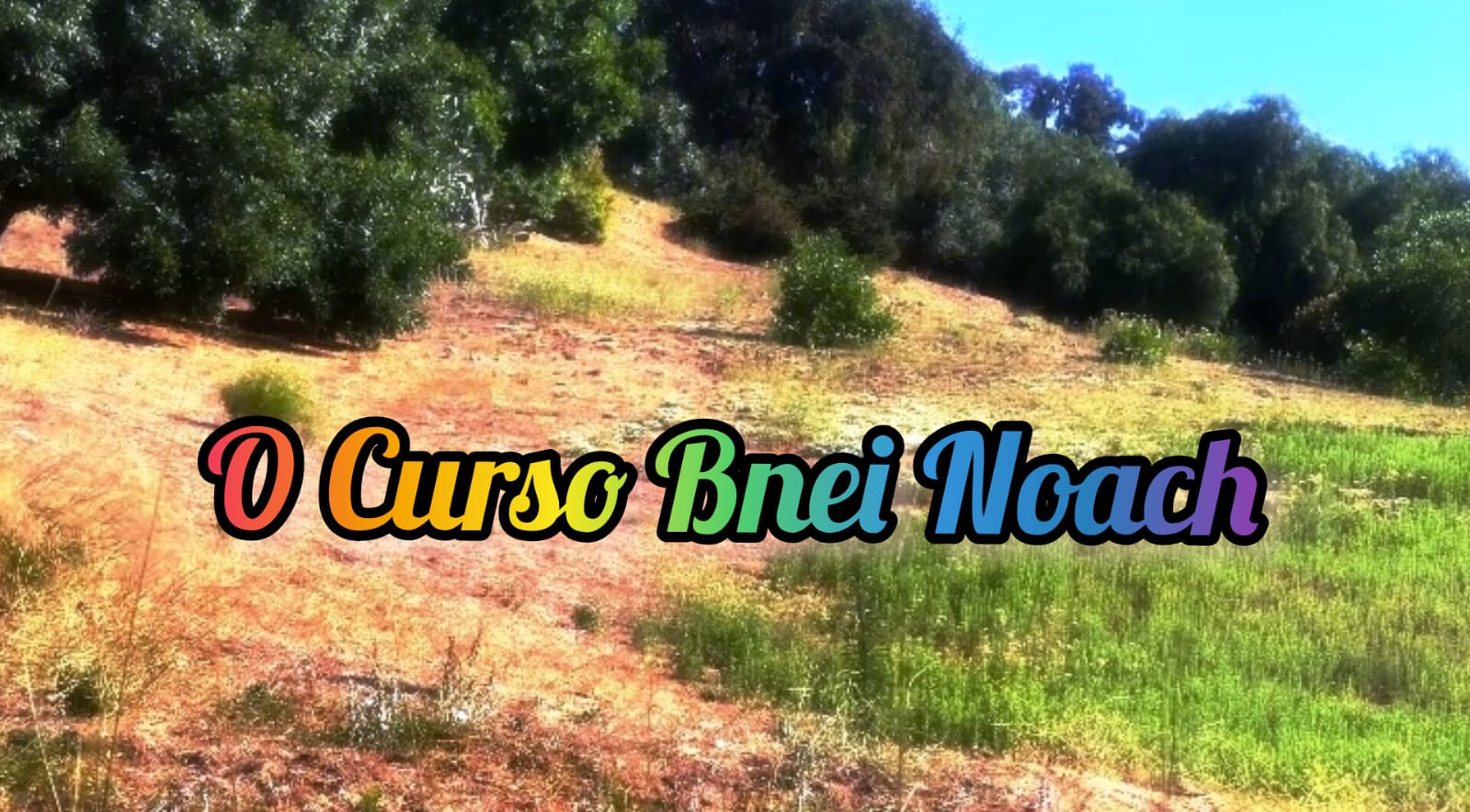 O Curso virtual Bnei Noach: aulas com o Rav Shimshon Bisker (12 Módulos)