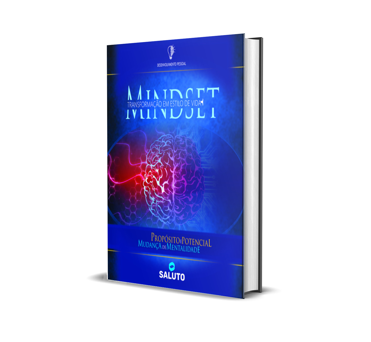 MINDSET - TRANSFORMAÇÃO EM ESTILO DE VIDA - SALUTO NEGOCIOS INTELIG... MINDSET - TRANSFORMAÇÃO EM ESTILO DE VIDA - SALUTO NEGOCIOS INTELIG...