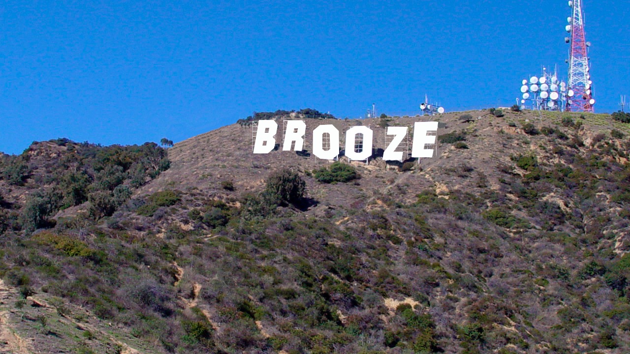 How to Start a Brooze Digital Business From the Scratch - Diego Lo...