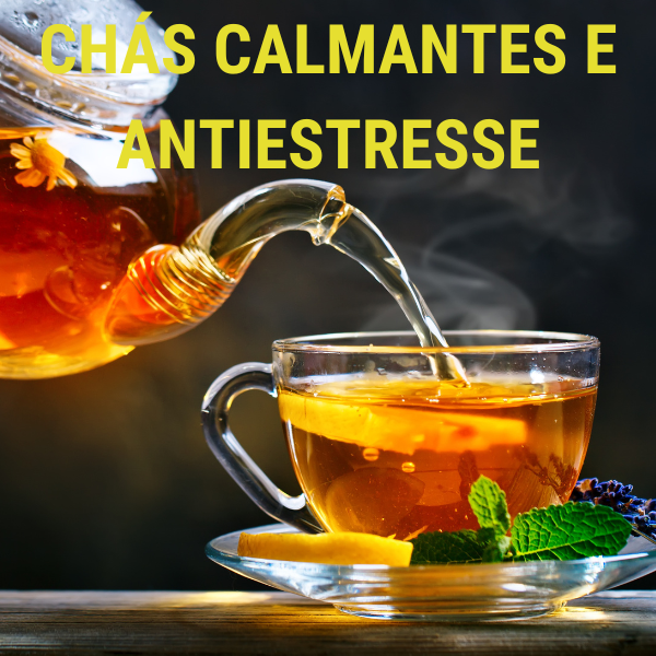 CHÁS CALMANTES E ANTIESTRESSE -E-Book