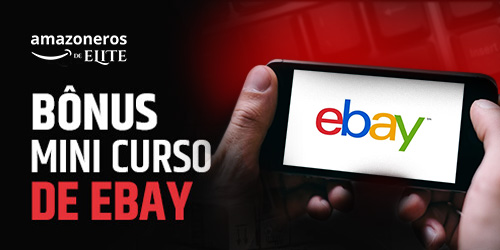 Mini Curso de Ebay