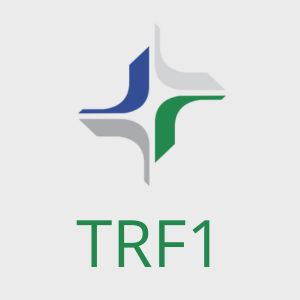 Discursiva TRF1 - Técnico e Analista Judiciário - Discursiva na Prá...
