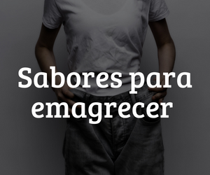 Sabores que Emagrecem - Receitas para emagrecer - Albert Alves Silv...