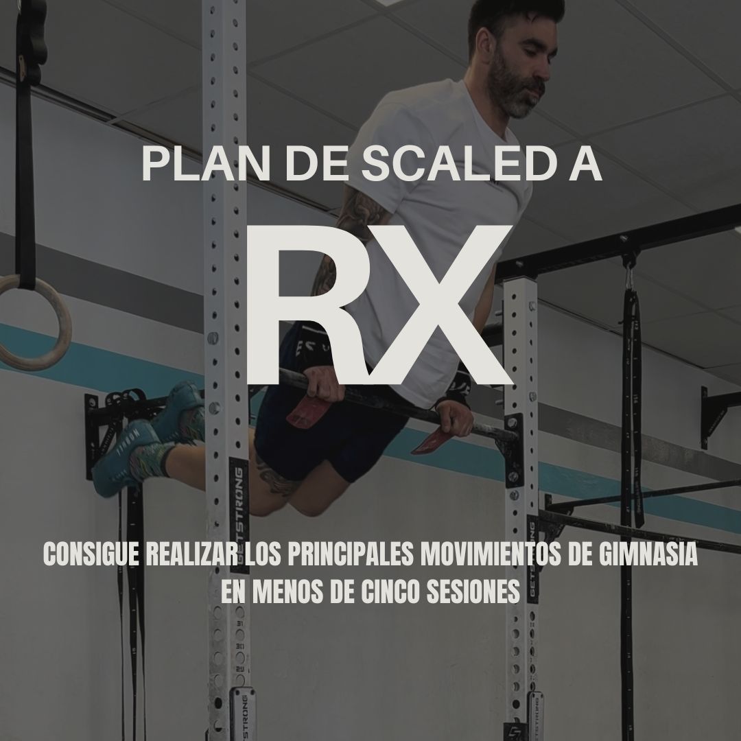 PLAN DE SCALED A RX - Isaac Vide Chao | Hotmart