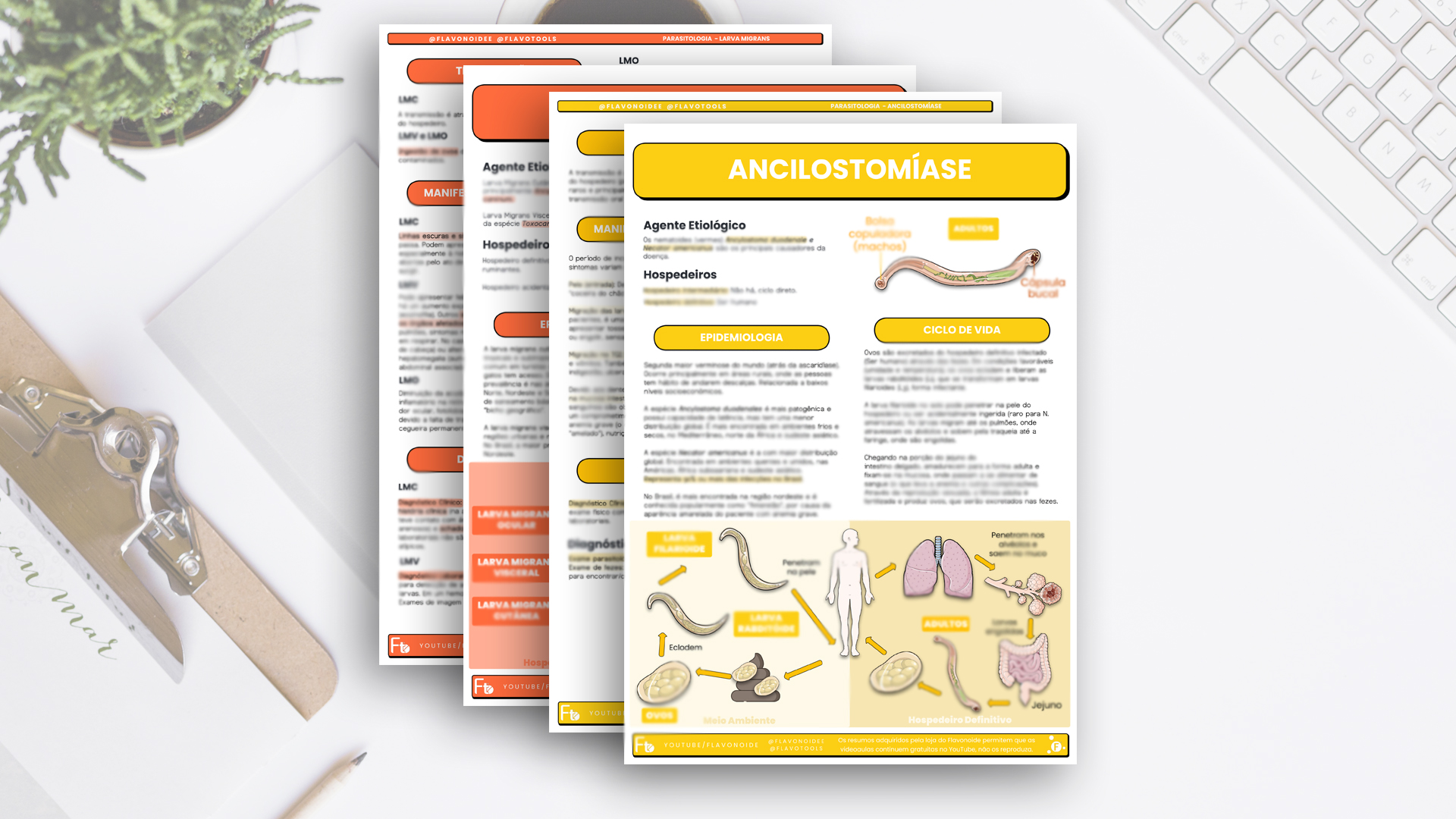 Resumo: Ancilostomíase e Larva migrans cutânea, visceral e ocular
