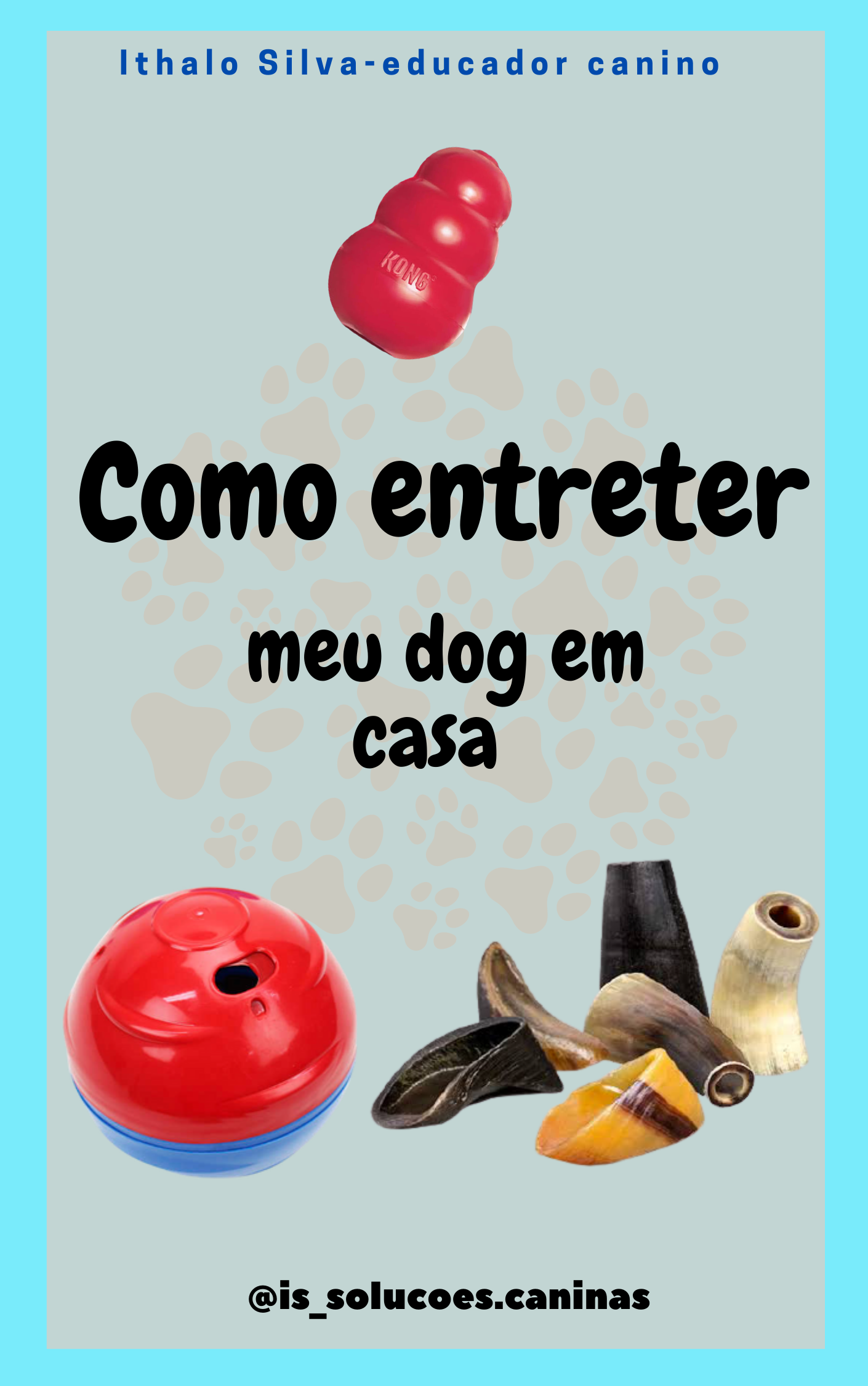 Como entreter meu dog em casa? - Francisco Ithalo da Silva Sousa