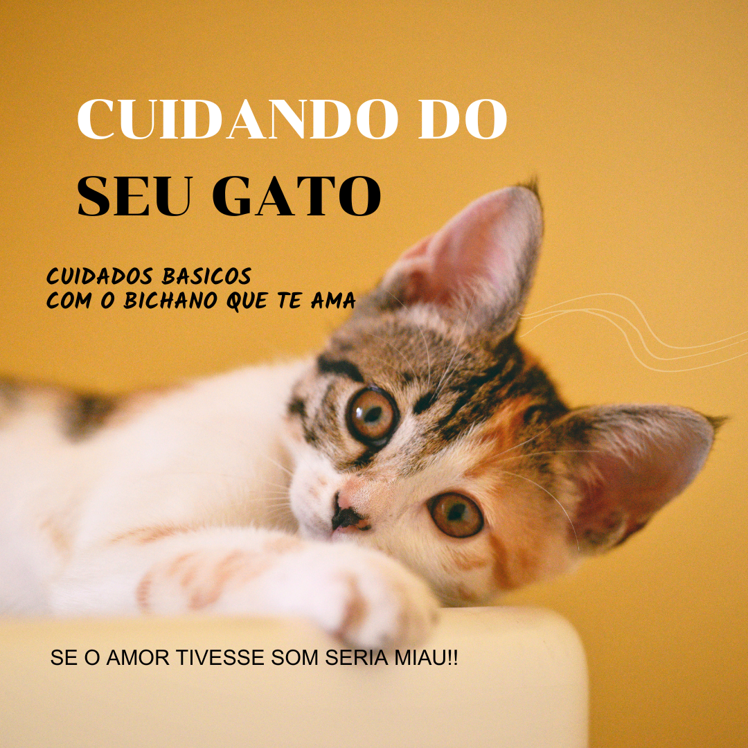 Cuidando do Gato com Carinho - Lucas Gabriel Rodrigues Sales | Hotmart