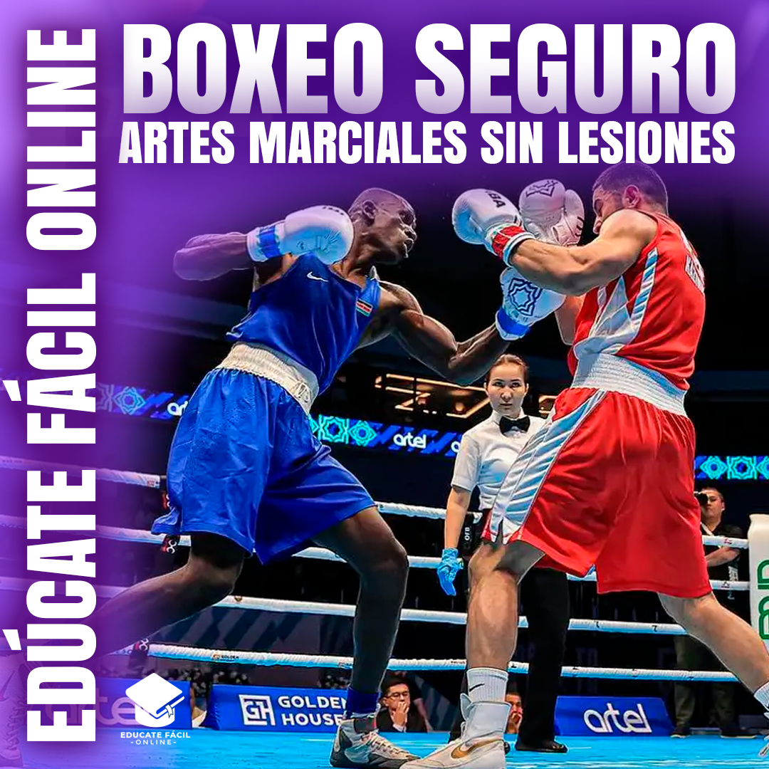 BOXEO SEGURO: ARTES MARCIALES SIN LESIONES - Educatefacil en Linea ...
