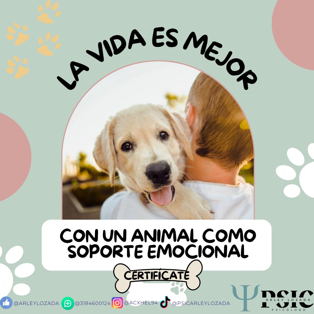 Certificado ASE (Animal de Soporte Emocional) - Gerson Arley Lozada...