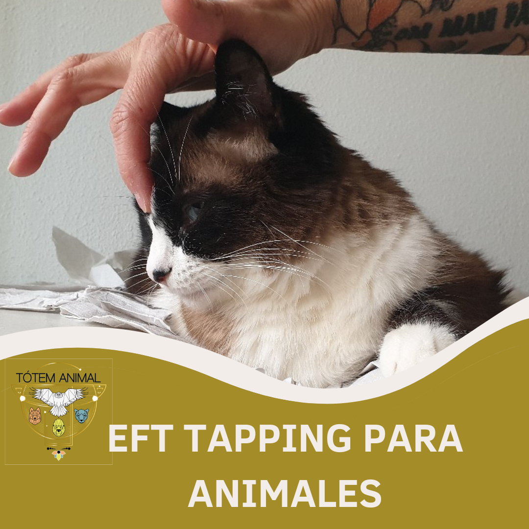 Curso online EFT para Animales - TÓTEM ANIMAL | Hotmart