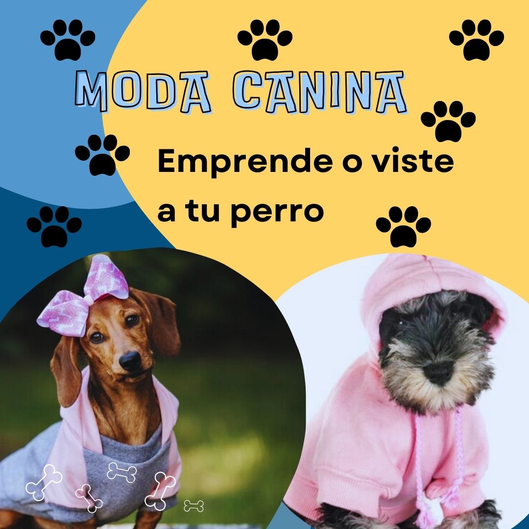 Moda canina emprende o viste a tu perro - DigitalEbooks | Hotmart