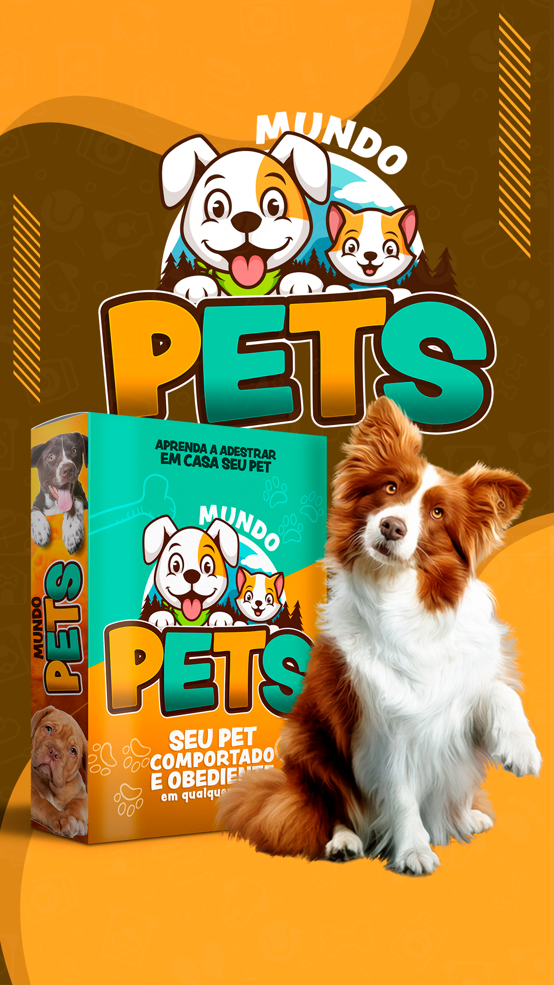 Mundo Pet - Aprenda o segredo para ter um pet perfeito em casa! - R...