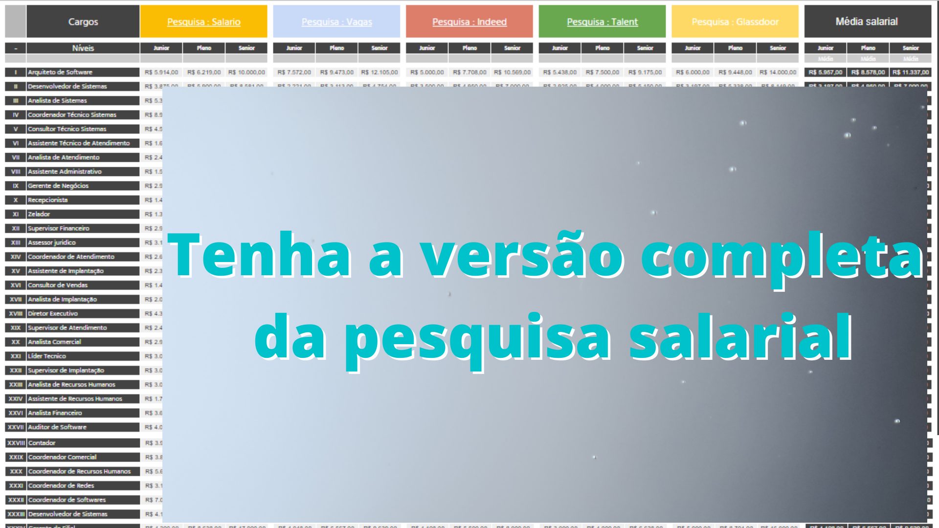 Pesquisa Salarial Setor Tecnologia Brasil