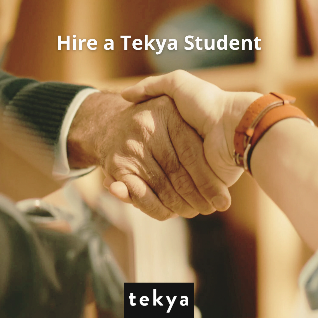 Hire a Tekya Student