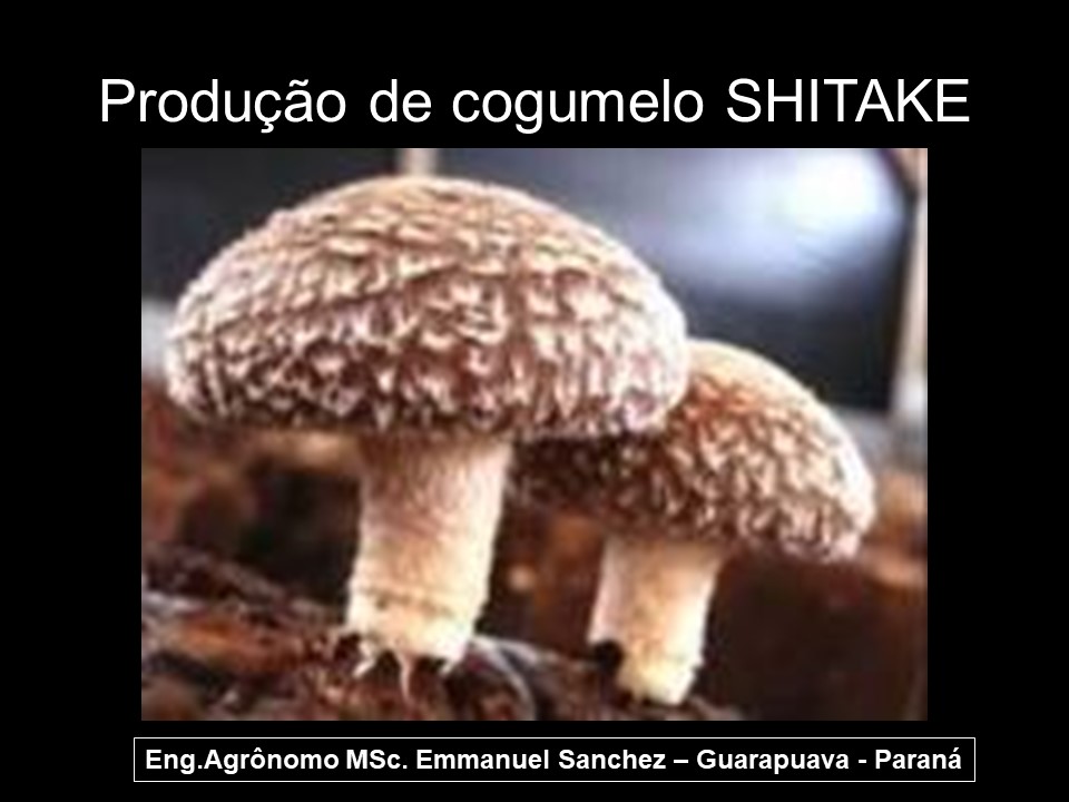 Curso de Produção de Cogumelo SHITAKE