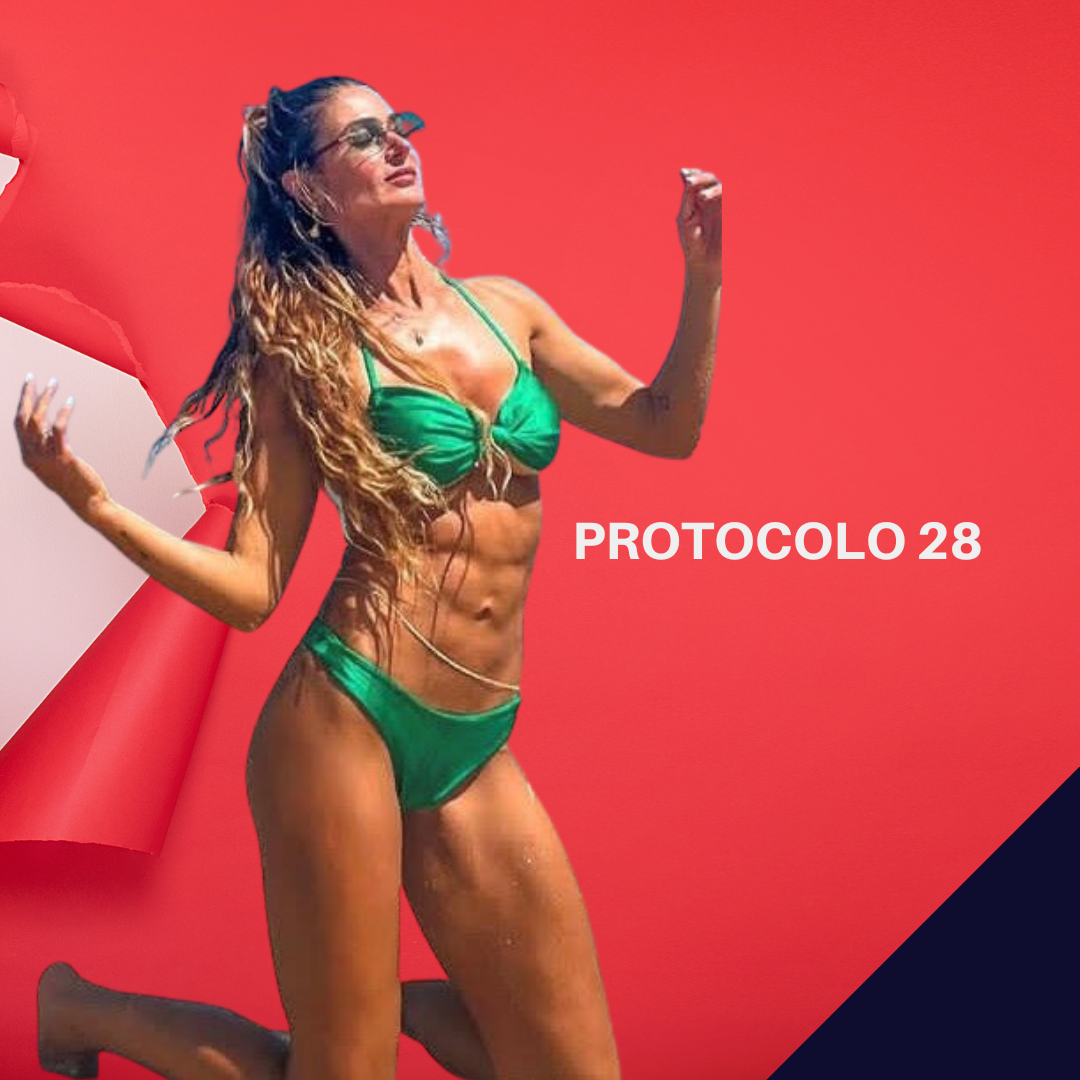 Protocolo 28 protocolo-28