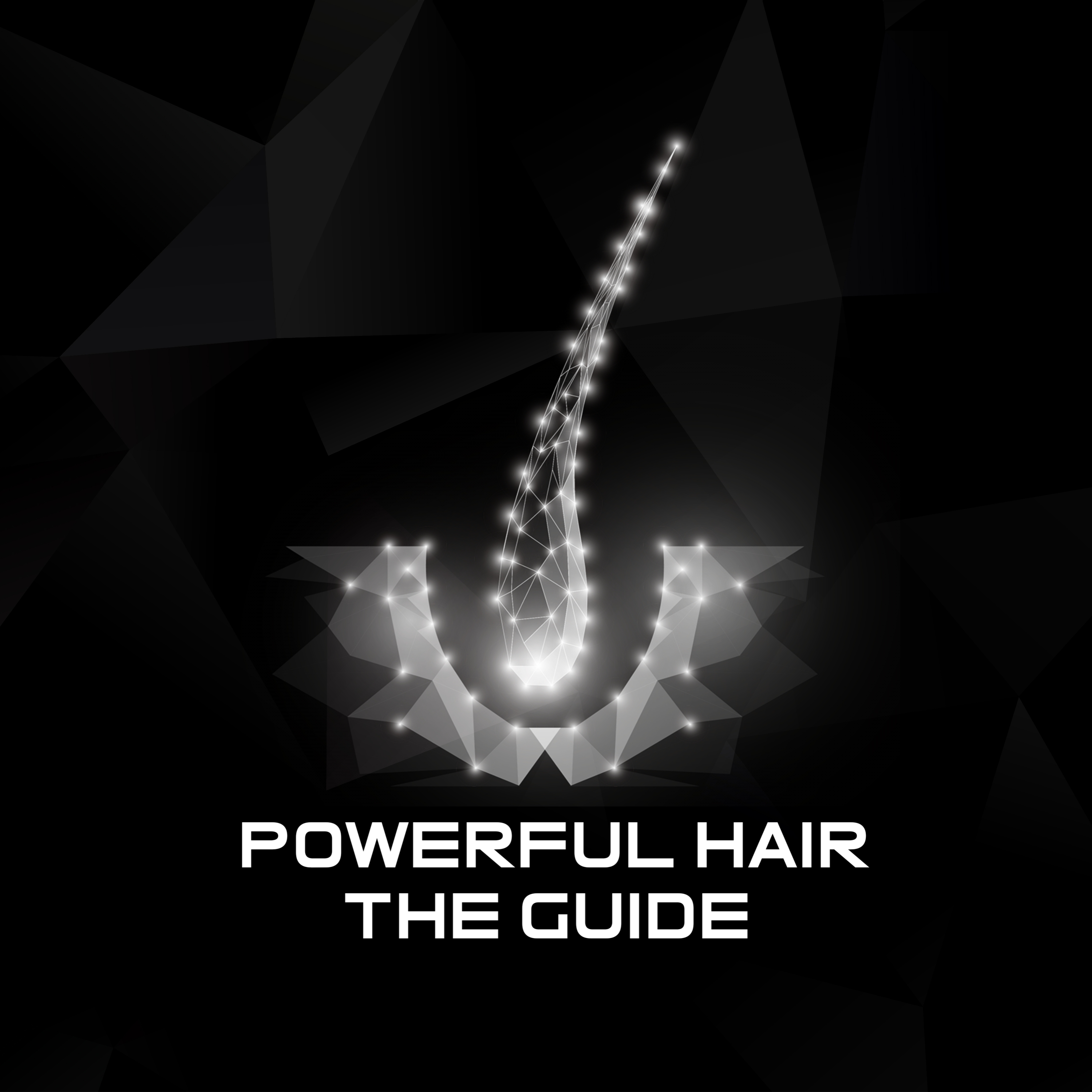 Powerful hair the guide