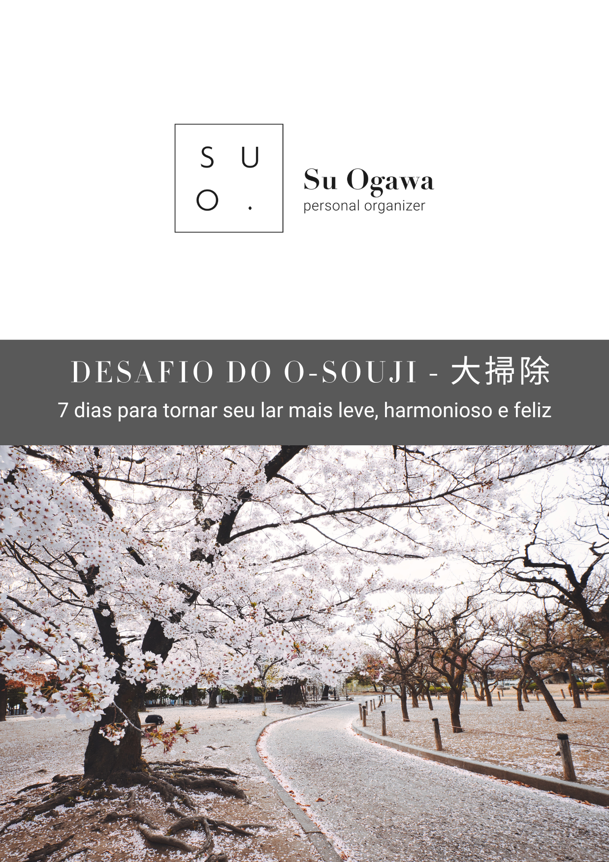 Desafio do O-souji - 7 dias para tornar seu lar mais leve, harmonioso e ...