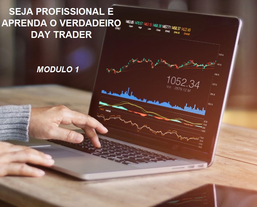 Modulo Day Trader 1