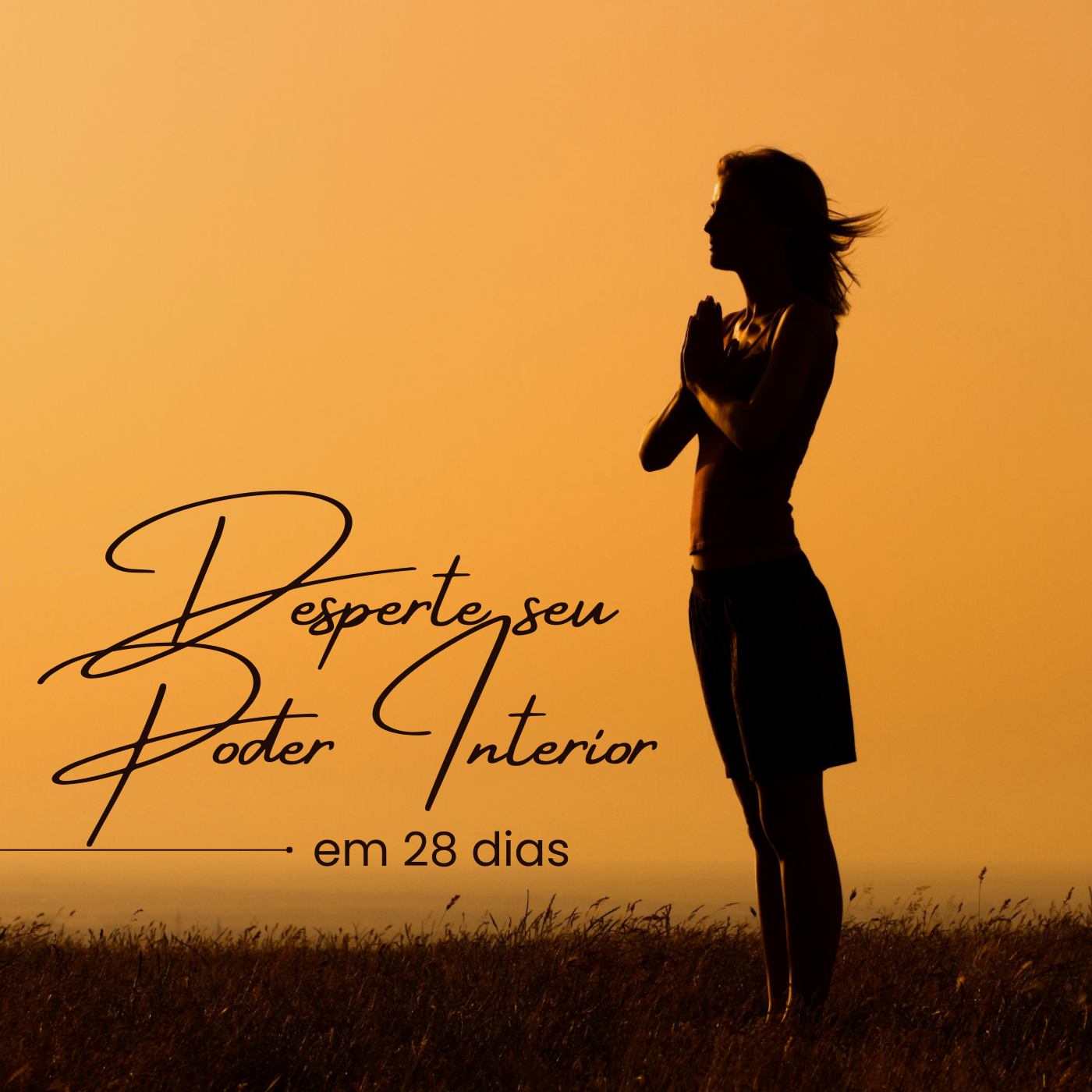 Jornada da Gratidão - Desperte seu Poder Interior em 28 dias - Sua ...